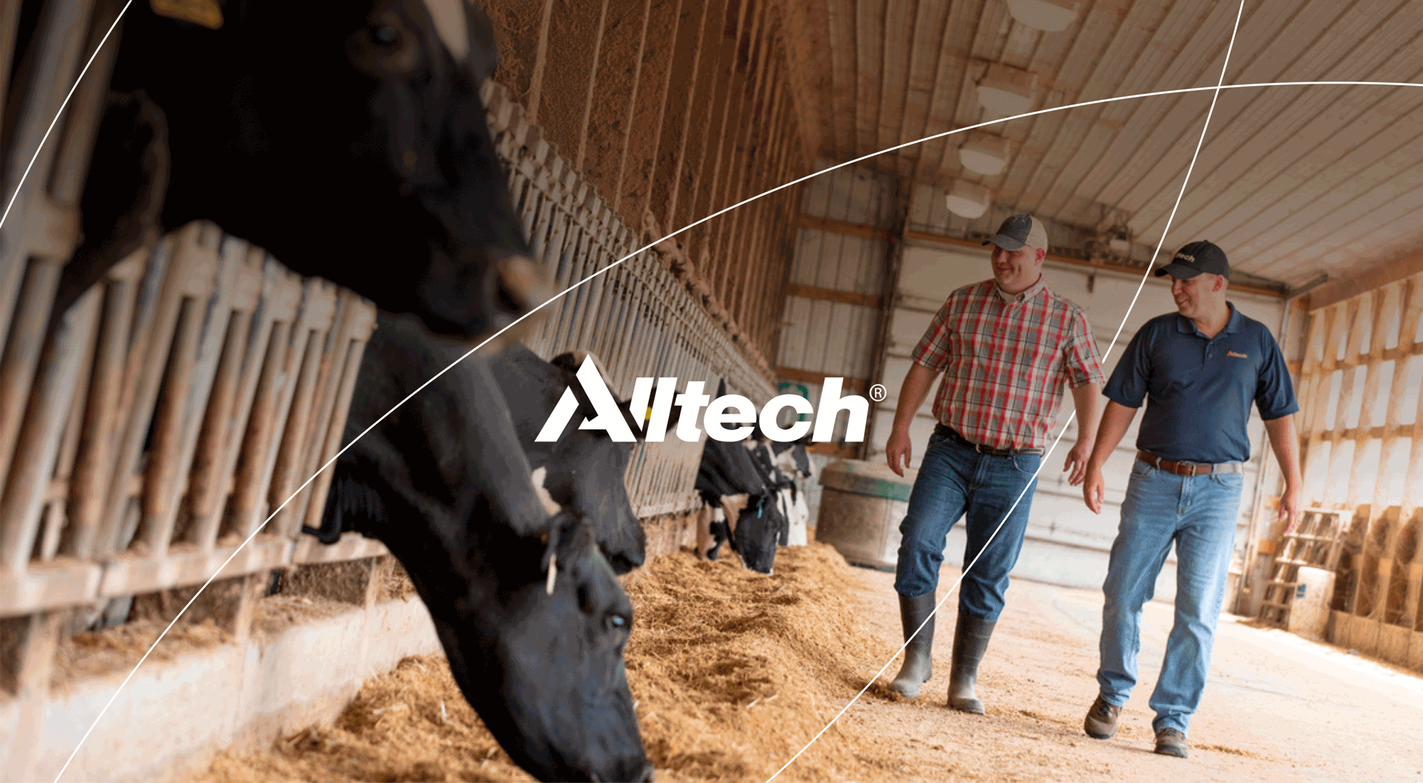 Alltech | RichardsDee