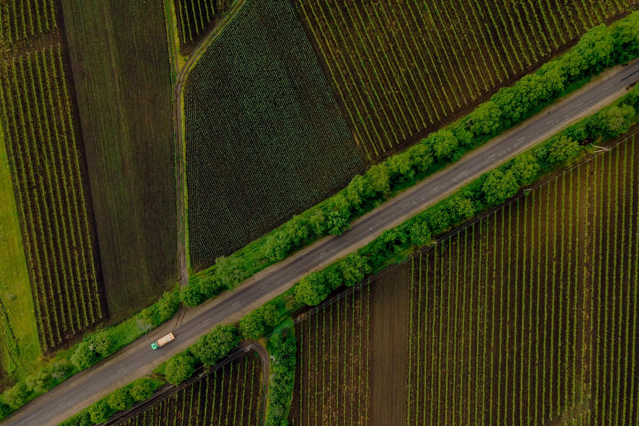 Food & Agriculture | RichardsDee