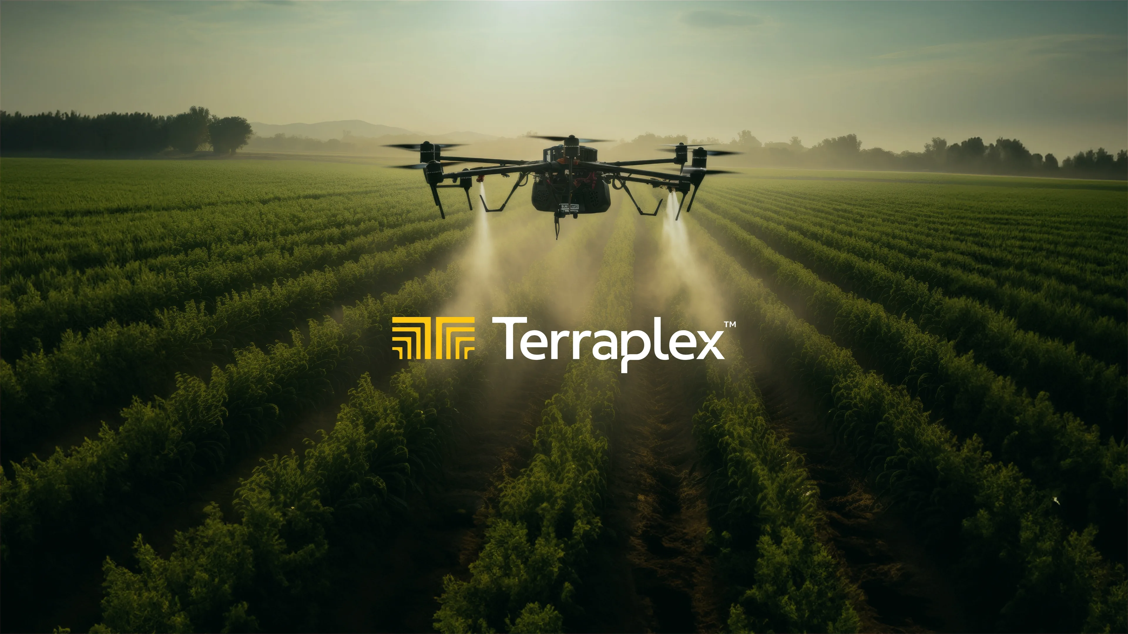 Terraplex | RichardsDee