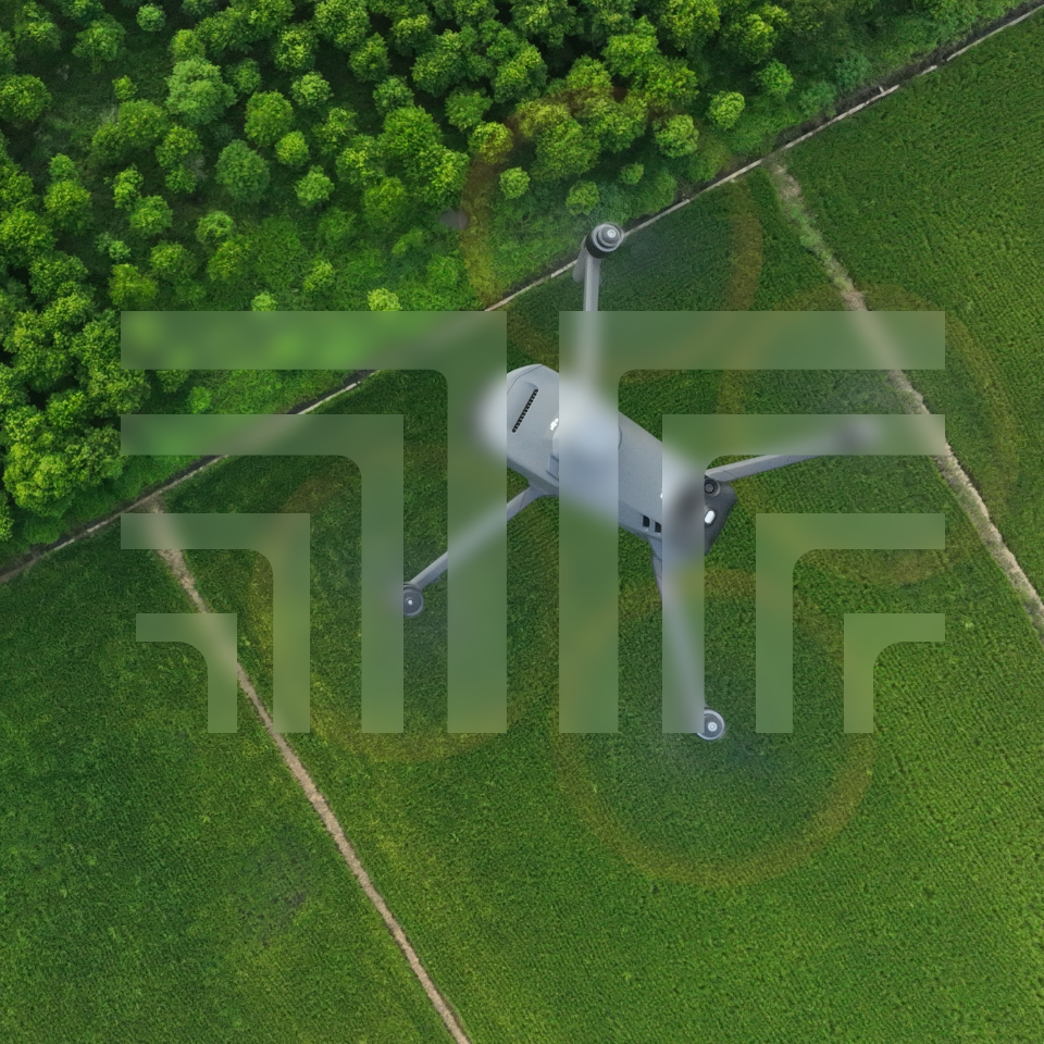 Terraplex | RichardsDee